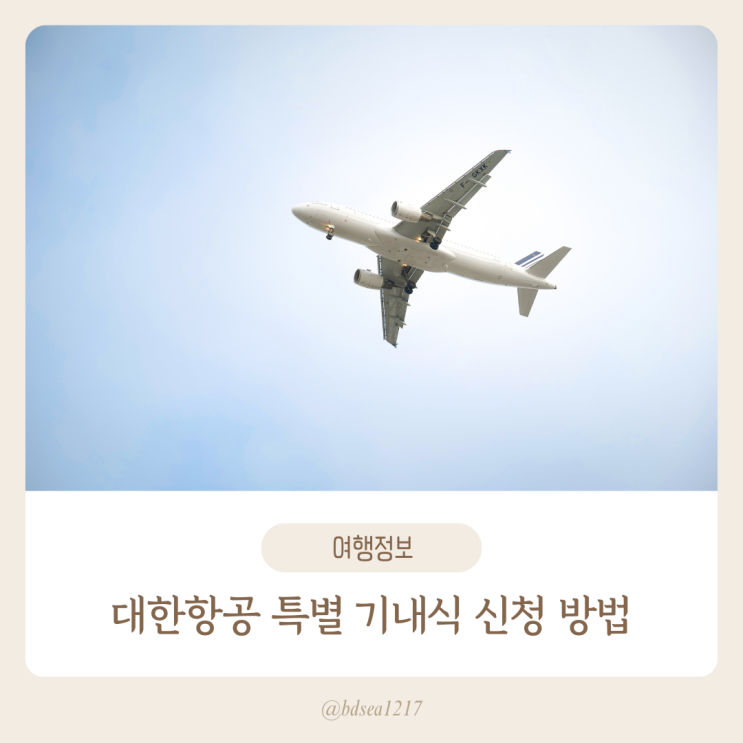 발리 대한항공 기내식 유아식 아동식 특별식 종류 신청 방법 네이버 블로그