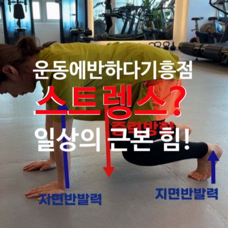 신갈역헬스장 운동에반하다 기흥점 스트렝스란 무엇인가 네이버 블로그