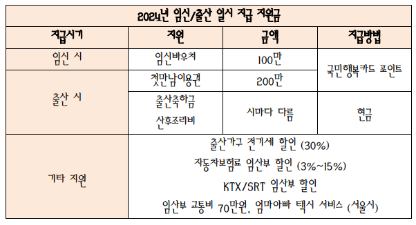 차트 하나로 보는 2024년 임신출산 지원금 부모급여 양육수당 아동수당 일시지급지원금 네이버 블로그