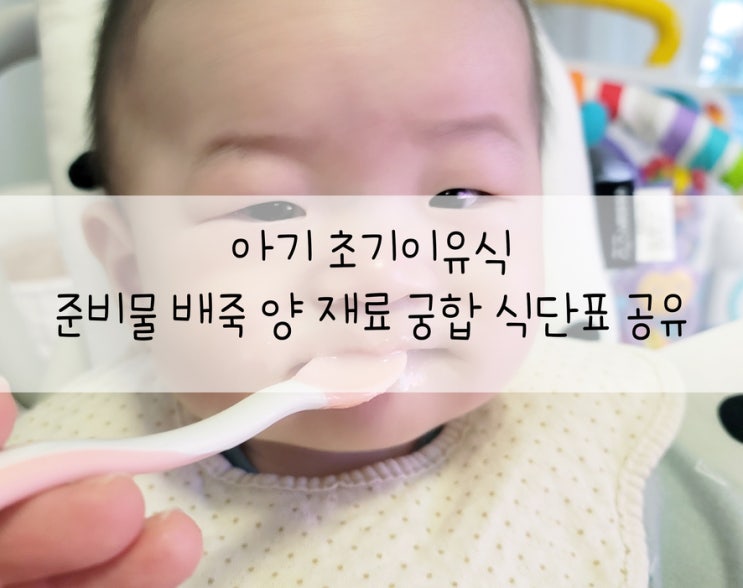 아기 초기이유식 시기 준비물 배죽 재료 궁합 식단표 공유 네이버 블로그