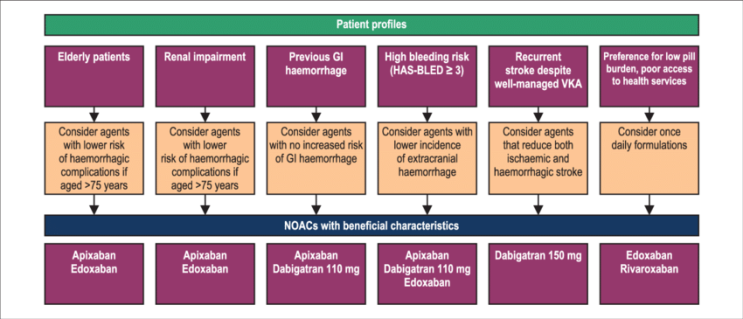 NOAC 선택 : 네이버 블로그