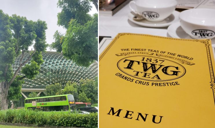 [싱가포르] 꼭 가야하는 필수 여행코스 ️ 마리나베이 샌즈 MBSㅣTWG 티세트&디저트ㅣ걷기만 해도 행복해지는 거리 ️ㅣ이푸도 ...