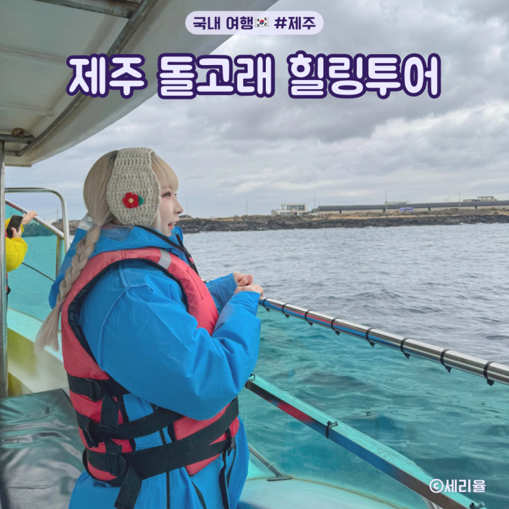 제주도 돌고래 스팟 제주 돌고래 힐링투어 서쪽 이색체험 후기 네이버 블로그