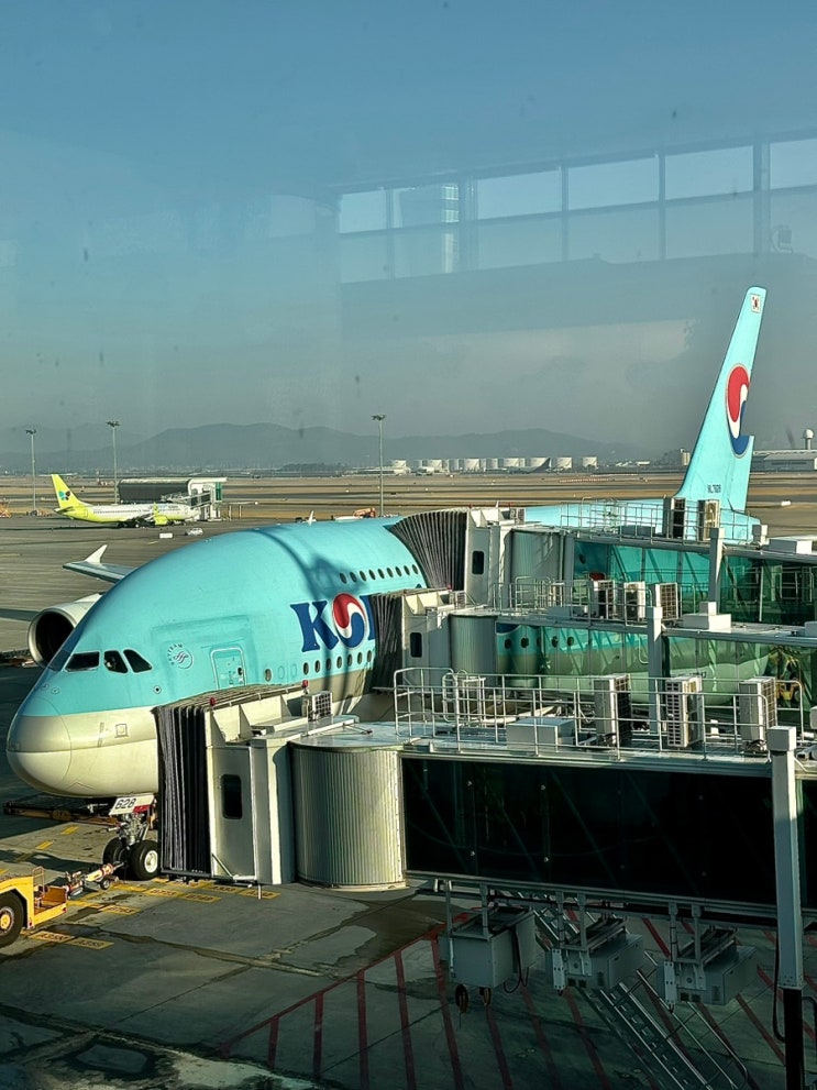 대한항공 KE 801, 제 2 여객터미널 인천에서 뉴욕으로 직항 대한항공타는 자세한 기내식 및 기타 서비스 후기 : 네이버 블로그