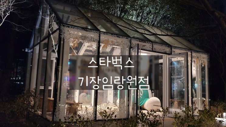기장 임랑 스타벅스 임랑해수욕장 대형카페 스타벅스 기장임랑원점 곰돌이 포토존 네이버 블로그