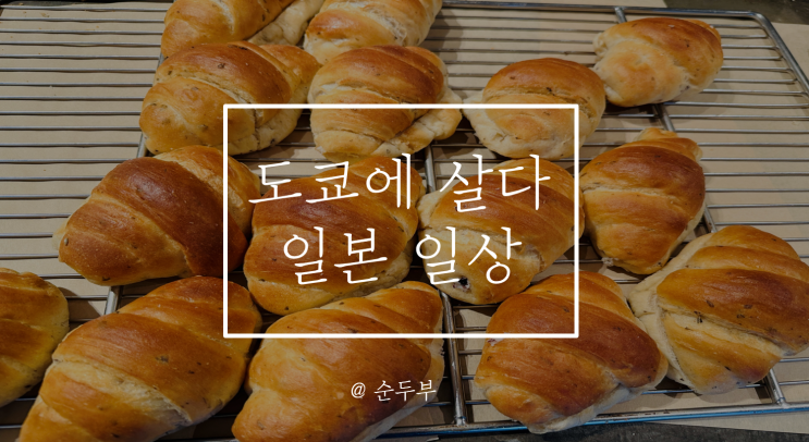 일본 도쿄 일상생활 1월 산겐자야 트러플 베이커리 소금빵 타마고산도 계란 샌드위치 옵스큐라 커피 Obscura