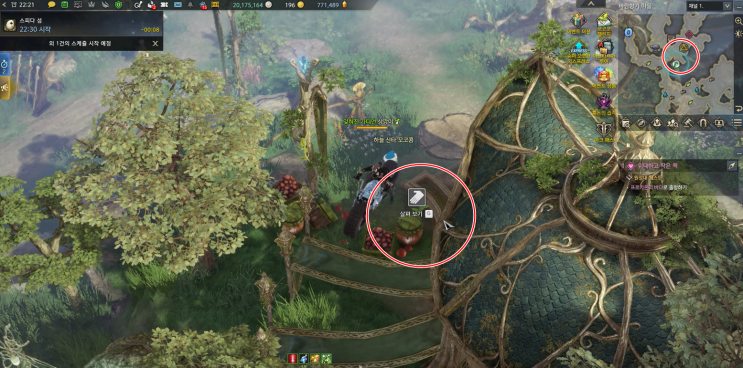 로아 로헨델 "바람향기 언덕" 모코코 위치 : 네이버 블로그