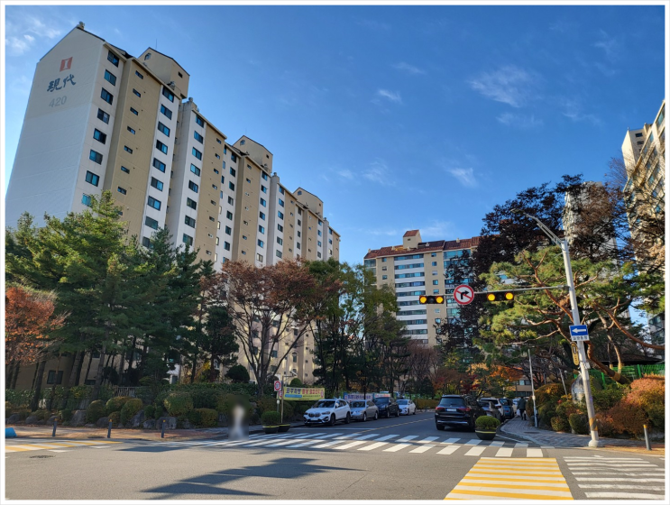 (#176_성남시 분당구) 서현동 시범현대(91y 1,695세대) : 네이버 블로그