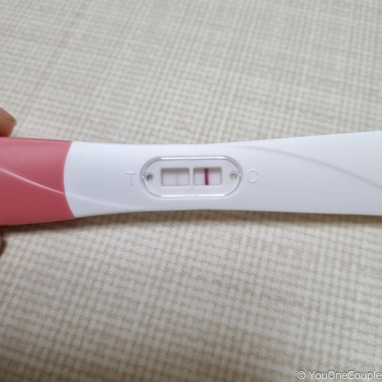 둘째 임밍아웃 임신 3주 극초기 증상 피검사 아기집 확인 네이버 블로그