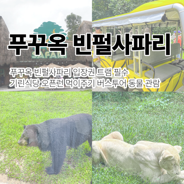 푸꾸옥 빈펄사파리 입장권 트램 필수 기린식당 버스타면서 관람 네이버 블로그