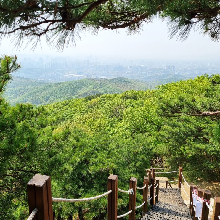 산림치유지도사 취업연봉 및 자격증 취득 방법 산림치유지도사 2급1급 네이버 블로그