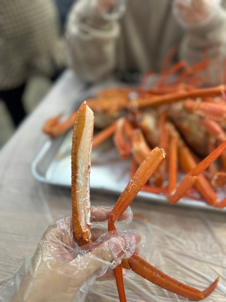 강릉 주문진 어민 수산시장 박달 홍게 수율 백프로 장군이네 내돈내산 감동후기 네이버 블로그