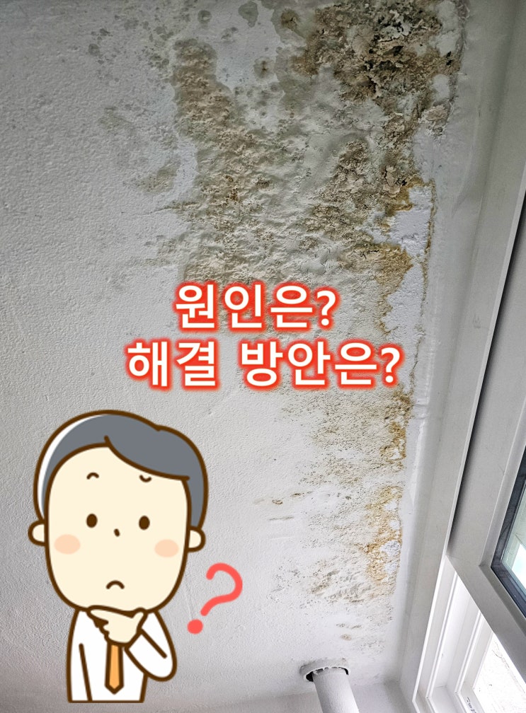 서울 서초구 서초동 삼풍아파트 베란다 천장 페인트 곰팡이 페인트 들뜸 벗겨짐 박리 원인은 재박리 방지 해결 방안은 결로방지
