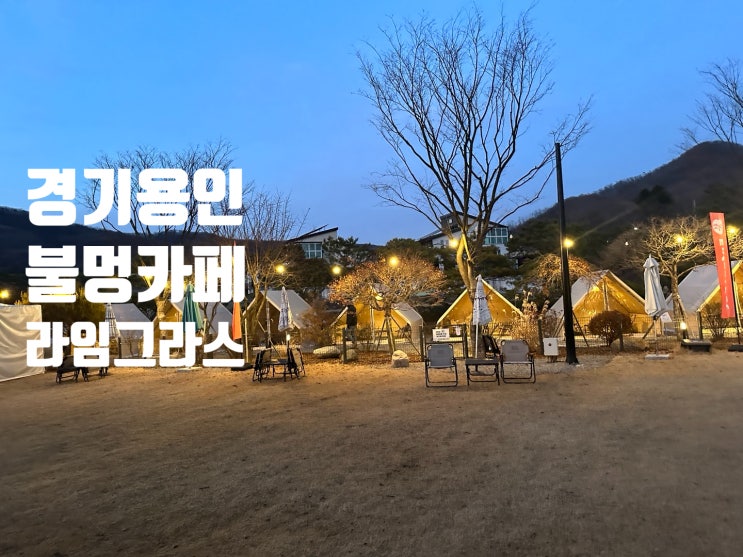 용인 양지 라임그라스 불멍카페 텐트존카페 데이트추천애견동반카페 네이버 블로그