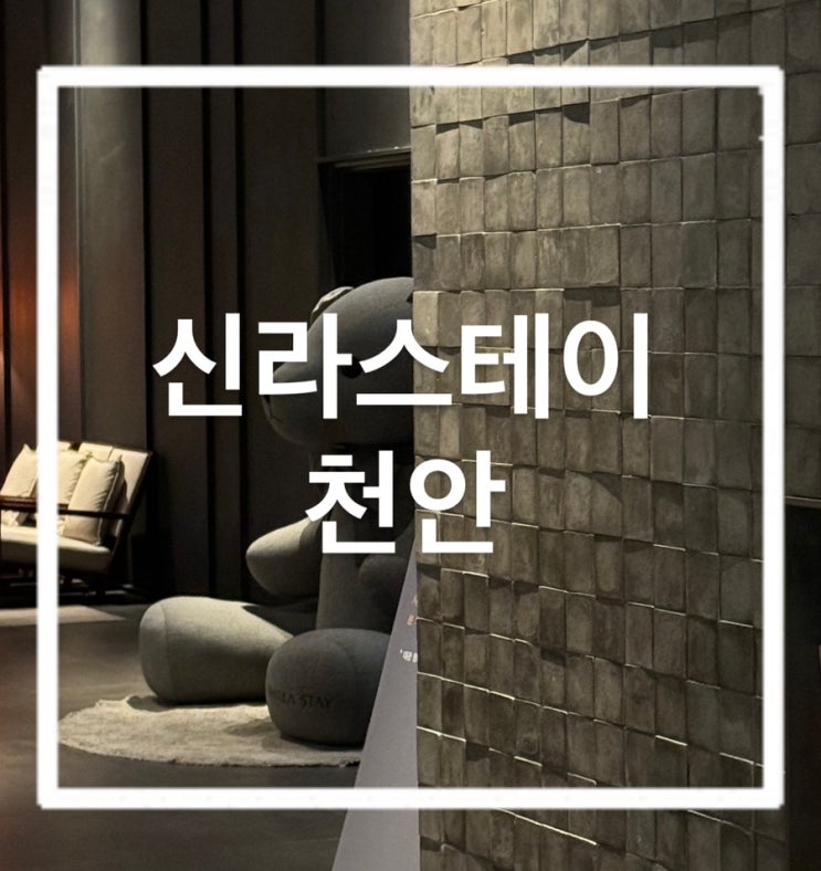 신라스테이 천안 스탠다드 더블룸 재방문 룸 추천 가격 조식 주차 체크인 체크아웃시간 비즈니스호텔 내돈내산 추천 네이버 블로그