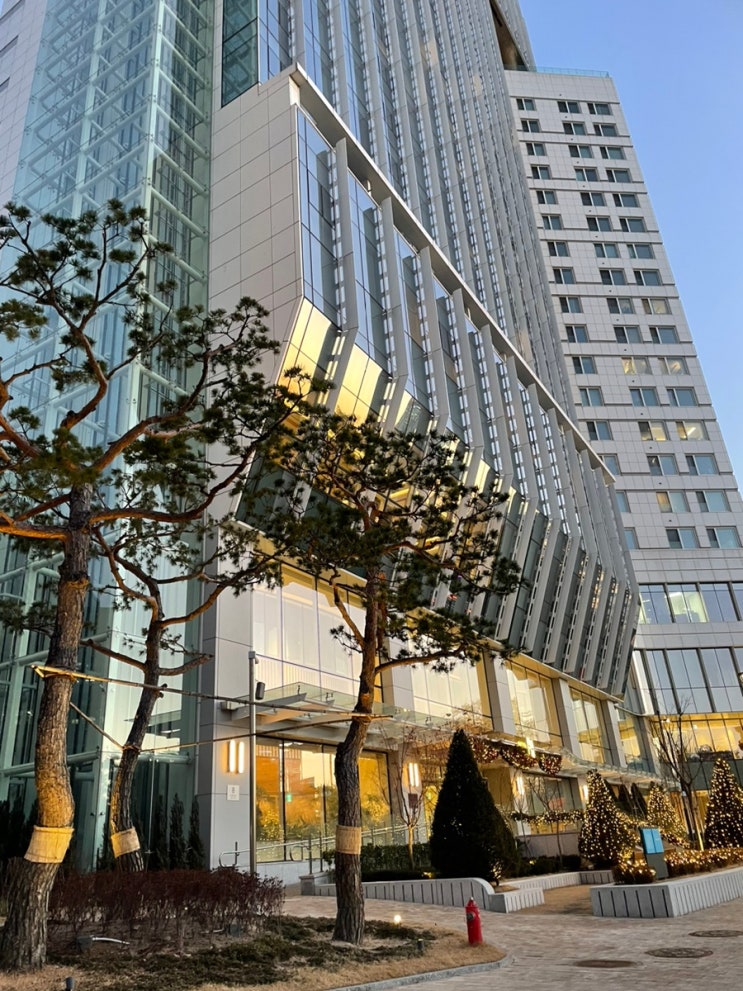 호텔 나루 서울 엠갤러리 패밀리룸 리버뷰 내돈내산 숙박 후기 서울 한강뷰 5성급 호텔 네이버 블로그