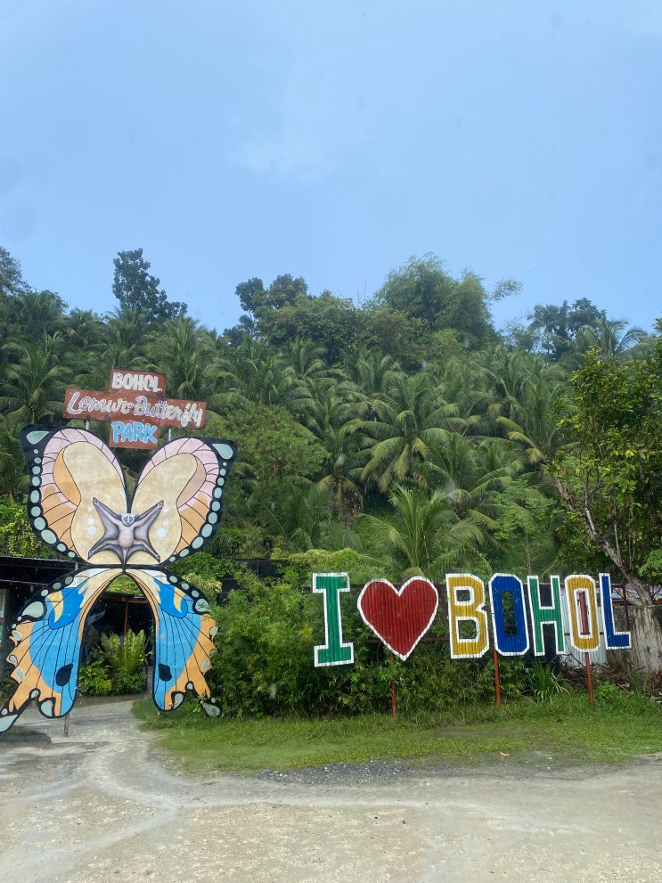 보홀 여행 1일차 첫 번째 Bohol Lemur and Butterfly 방문 후기 : 네이버 블로그