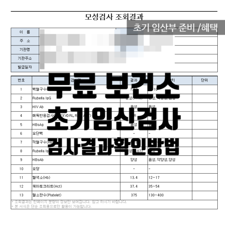 보건소 무료 초기임신검사 항목 및 결과지 온라인 조회 출력 방법 네이버 블로그