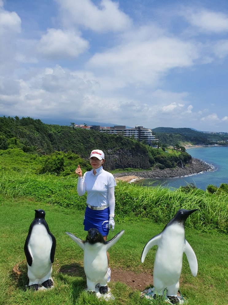 제주도 골프장 중문cc 해안뷰 라운딩 후기 네이버 블로그