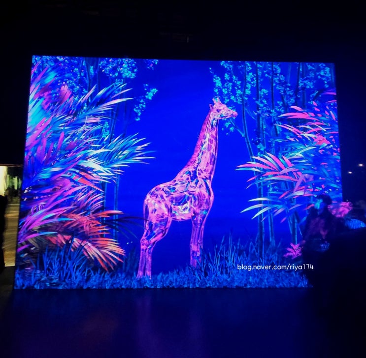 아르떼 뮤지엄 제주 : 네이버 블로그