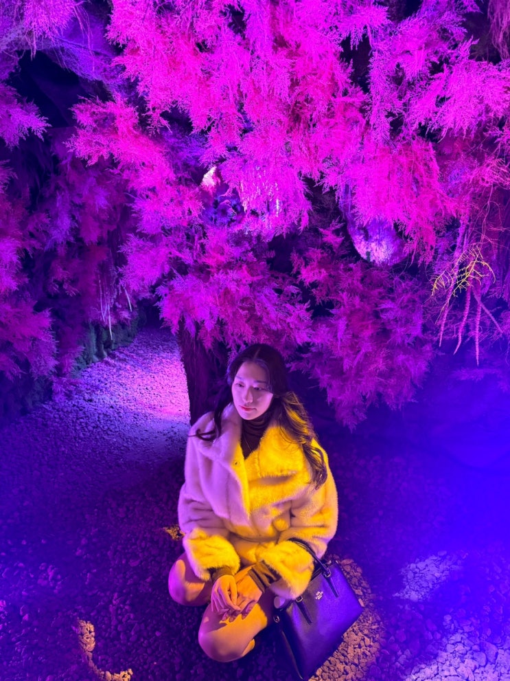 인천 송도 전시회팀보타展 탐화림 상세 관람 후기 자연으로 표현한 몽환적인 분위기 속 화림이 품은 욕망탐 이야기