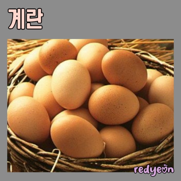 계란 효능 영양성분 ️피부노화 방지 계란노른자 콜레스테롤 레시틴 레티놀 식품 달걀 네이버 블로그