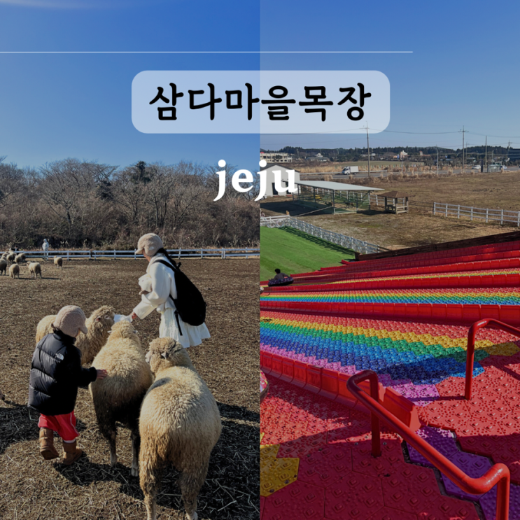 제주 삼다마을목장 제주 썰매장 양 먹이주기 체험 제주 아이와 가볼만한곳 네이버 블로그