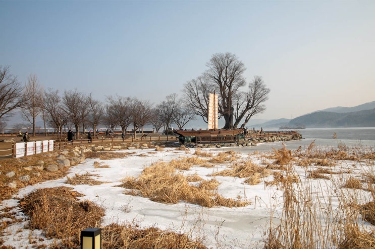 당일치기 겨울여행 양평 두물머리 곤충 박물관 서울근교 여행지 추천 네이버 블로그
