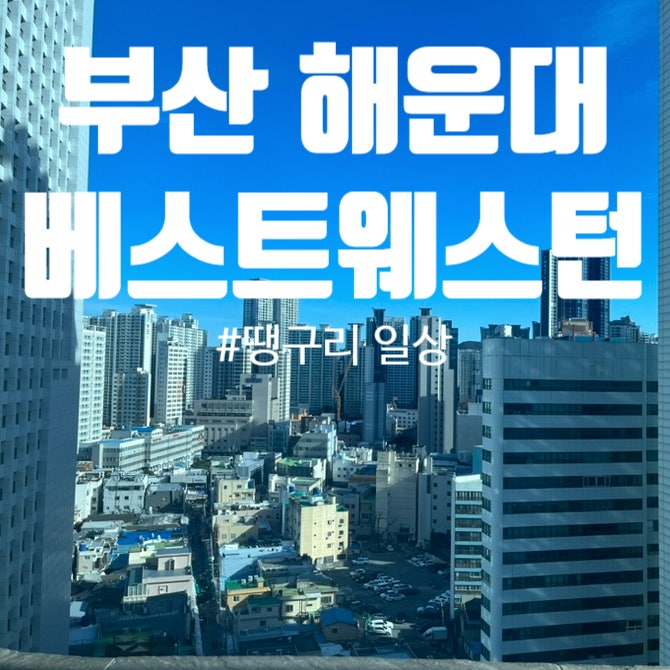부산 해운대 숙소 두 번째 방문한 가성비 좋은 해운대 근처 숙소 베스트웨스턴 해운대 호텔 네이버 블로그