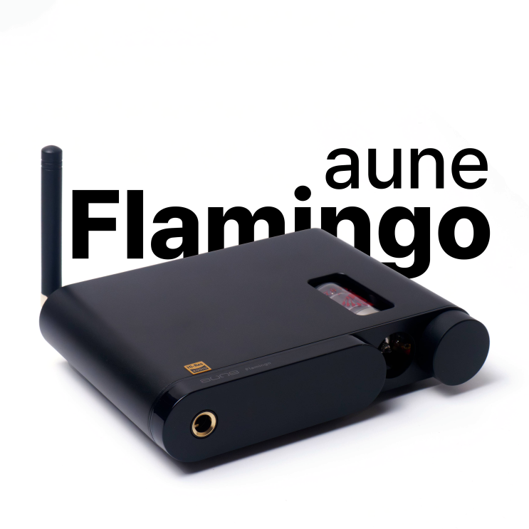 aune Flamingo 진공관 DAC/AMP 리뷰 :: 손바닥보다도 작은, 진공관 교보재 : 네이버 블로그