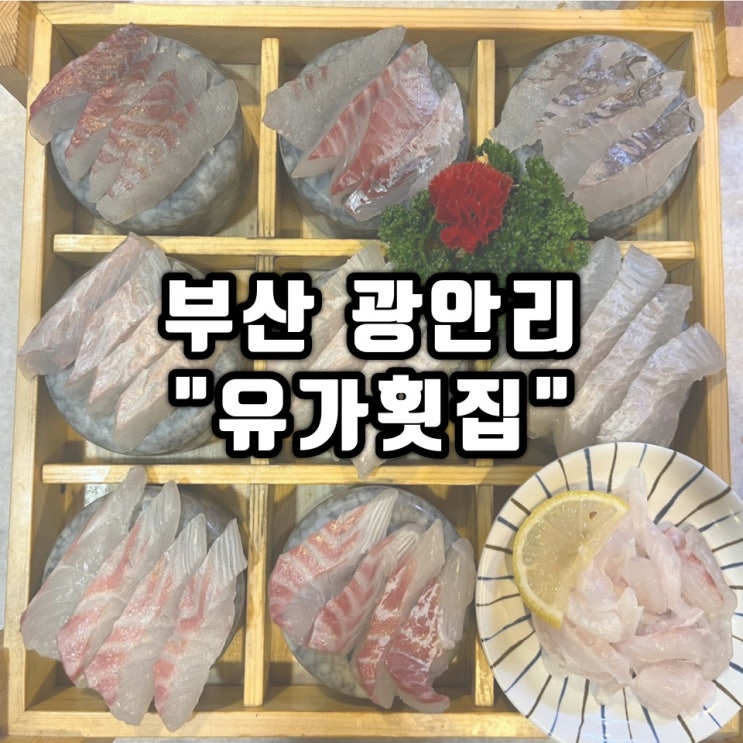 부산 광안리 광안대교가 보이는 회 코스 맛집 유가횟집 네이버 블로그