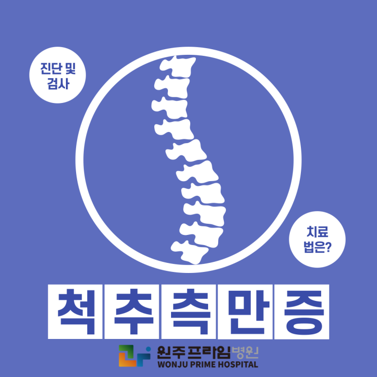 척추의 형태 이상척추측만증 2 원주프라임병원 척추센터 네이버 블로그
