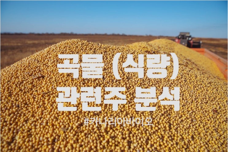 곡물 관련주 불안한 국제 정세 방산 유가 곡물로 이어지는 테마 순환매 곡물식량 관련주 네이버 블로그