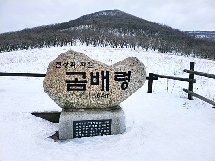 점봉산 곰배령 천상의화원 강원도 인제 계곡 설악산 국립공원 가볼만한곳 점봉산생태관리센터 겨울등산 네이버 블로그