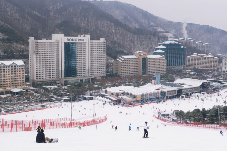 비발디파크 렌탈샵 추천 국가대표 렌탈샵 픽업 가능 네이버 블로그