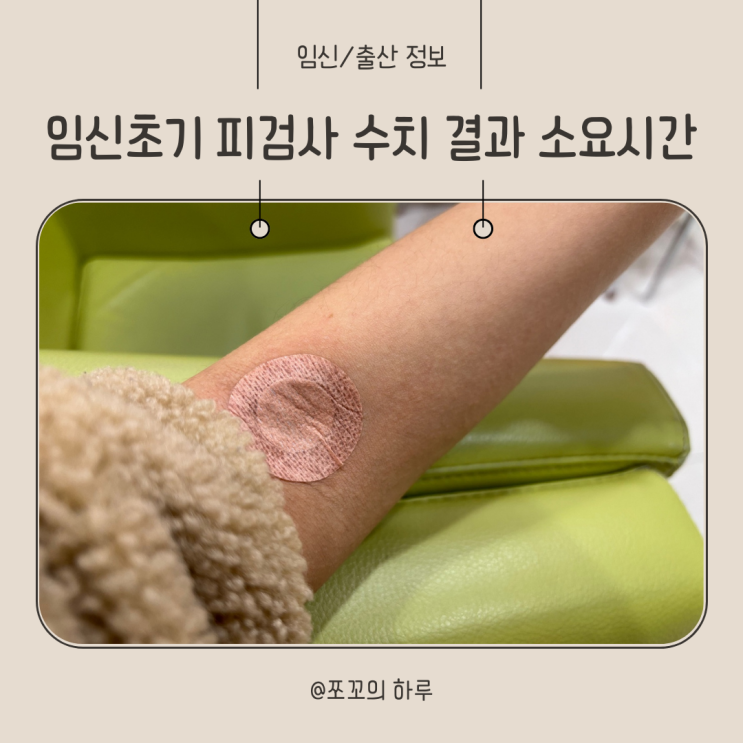 임신 4주차 임신 피검사 수치 결과 나오는 시간 비용 후기 네이버 블로그
