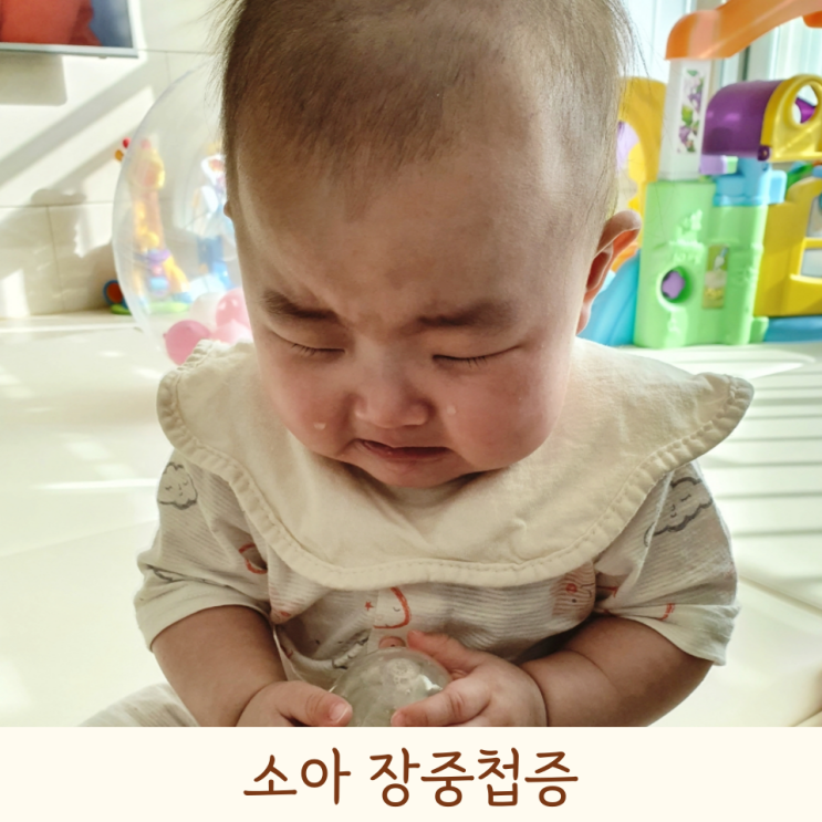 소아 장중첩증 아기 장꼬임 혈변이 보인다면? : 네이버 블로그