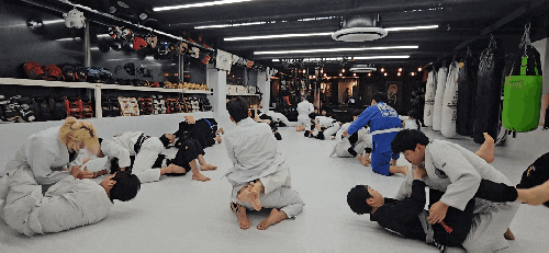 성인부 여성부가 많은 체육관에서 운동 시작 일산 대화역 주짓수 익스트림컴뱃 네이버 블로그