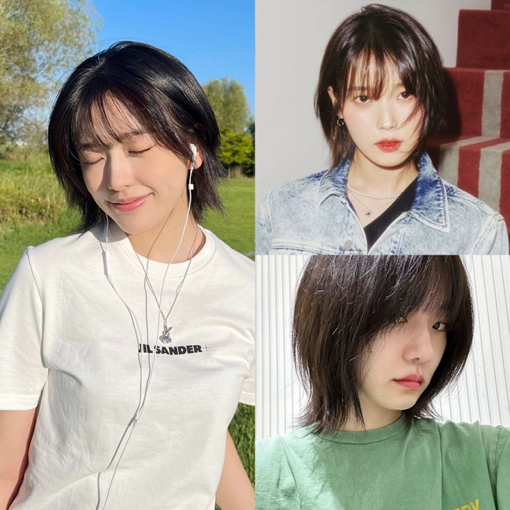 아이유 박규영 단발 헤어스타일 - 여자 단발레이어드컷 허쉬컷 연예인 : 네이버 블로그