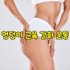 엉덩이 근육 강화 운동 4 가지 집에서 이것만 해도 됩니다 네이버 블로그