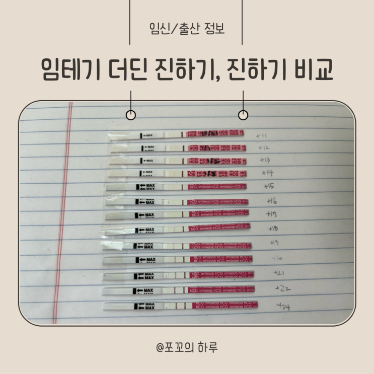 임신 4주차 원포스마일 임신테스트기 진하기 비교 임테기 더딘 진하기 네이버 블로그
