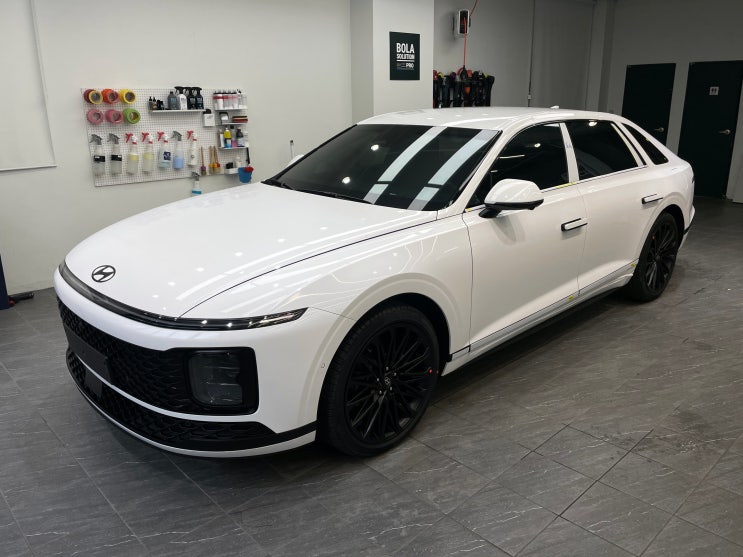 후퍼옵틱 프나세 농도 추천 : 네이버 블로그