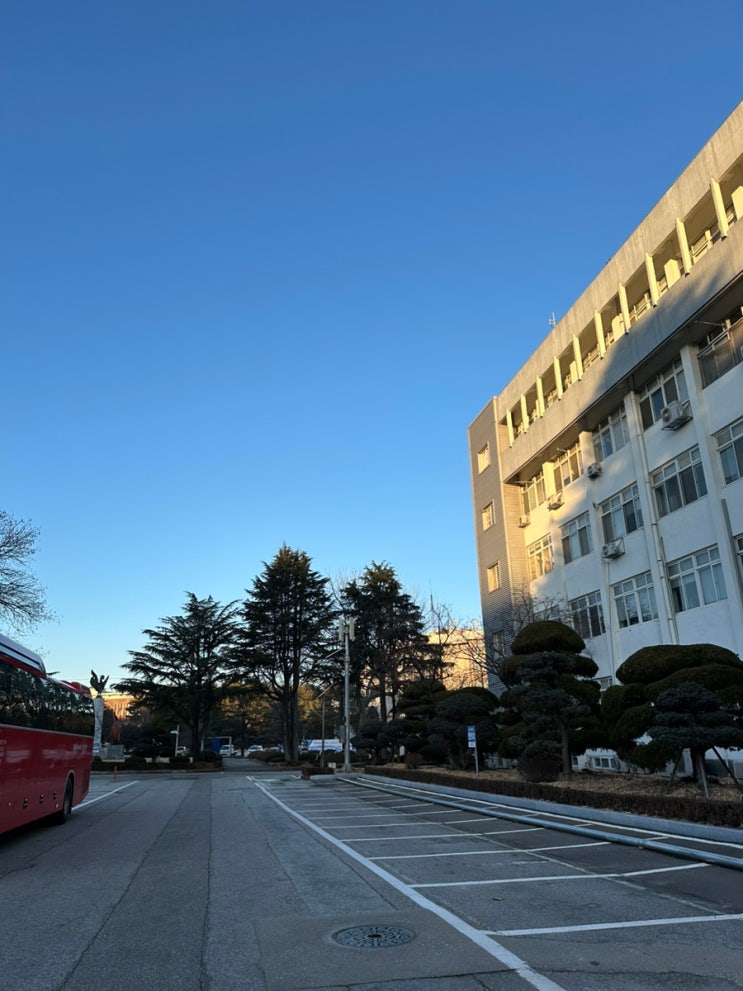 2024 Triangle+ 창의캠프 후기 : 네이버 블로그