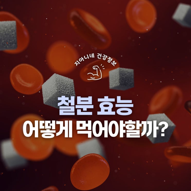 철분 효능 및 부족증상 철분제 먹는법 부작용 정리 네이버 블로그