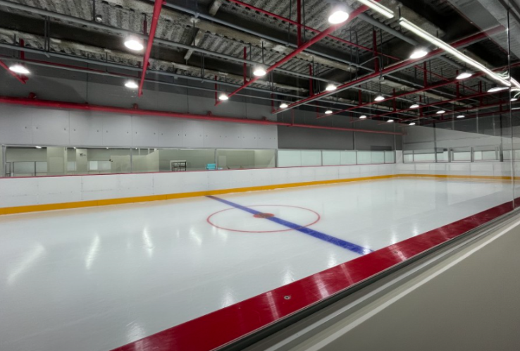 강남 아이스링크에서 체험 학습을? : 네이버 블로그