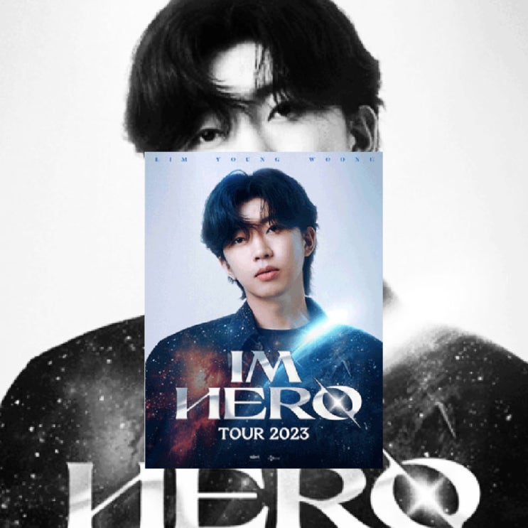 임영웅 콘서트 IM HERO TOUR 고양 일산 킨텍스 티켓팅 대중교통 주차정보 예매 가격 : 네이버 블로그
