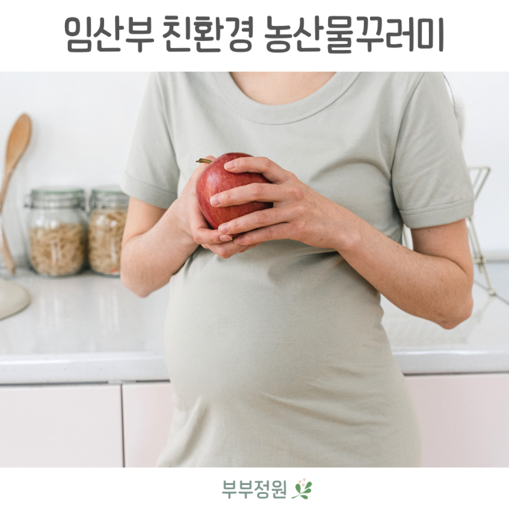 경기도 임산부 친환경 농산물꾸러미 2024 신청방법 혜택 네이버 블로그