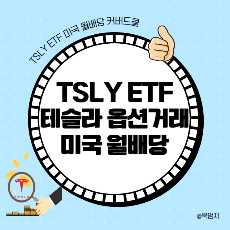 TSLY 테슬리 커버드콜 ETF, 테슬라 배당금 받는법 : 네이버 블로그