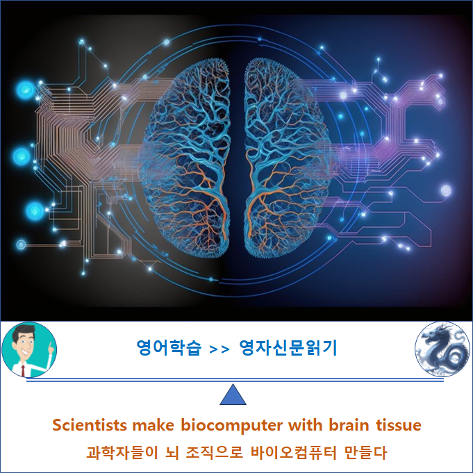 [영자신문] Scientists make biocomputer with brain tissue (과학자들이 뇌 조직으로 바이오 ...