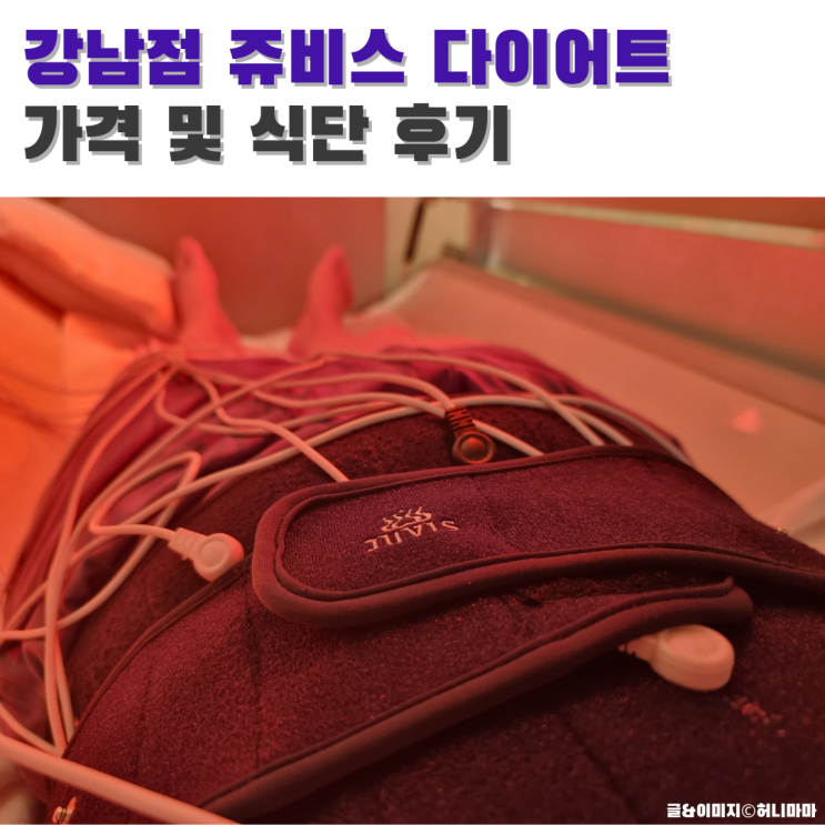 강남점 쥬비스 다이어트 가격 및 식단 후기 네이버 블로그